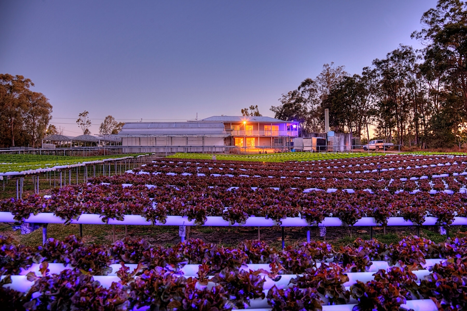 Farm-at-night - Fancyleaf